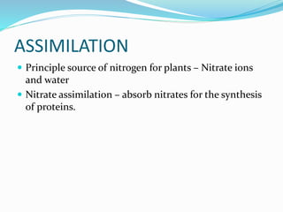 NITROGEN CYCLE.pdf