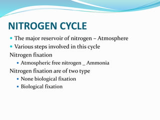 NITROGEN CYCLE.pdf