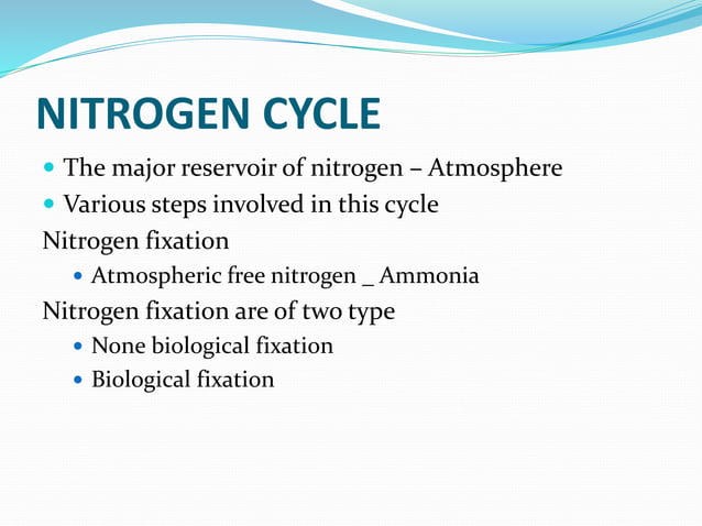 NITROGEN CYCLE.pdf