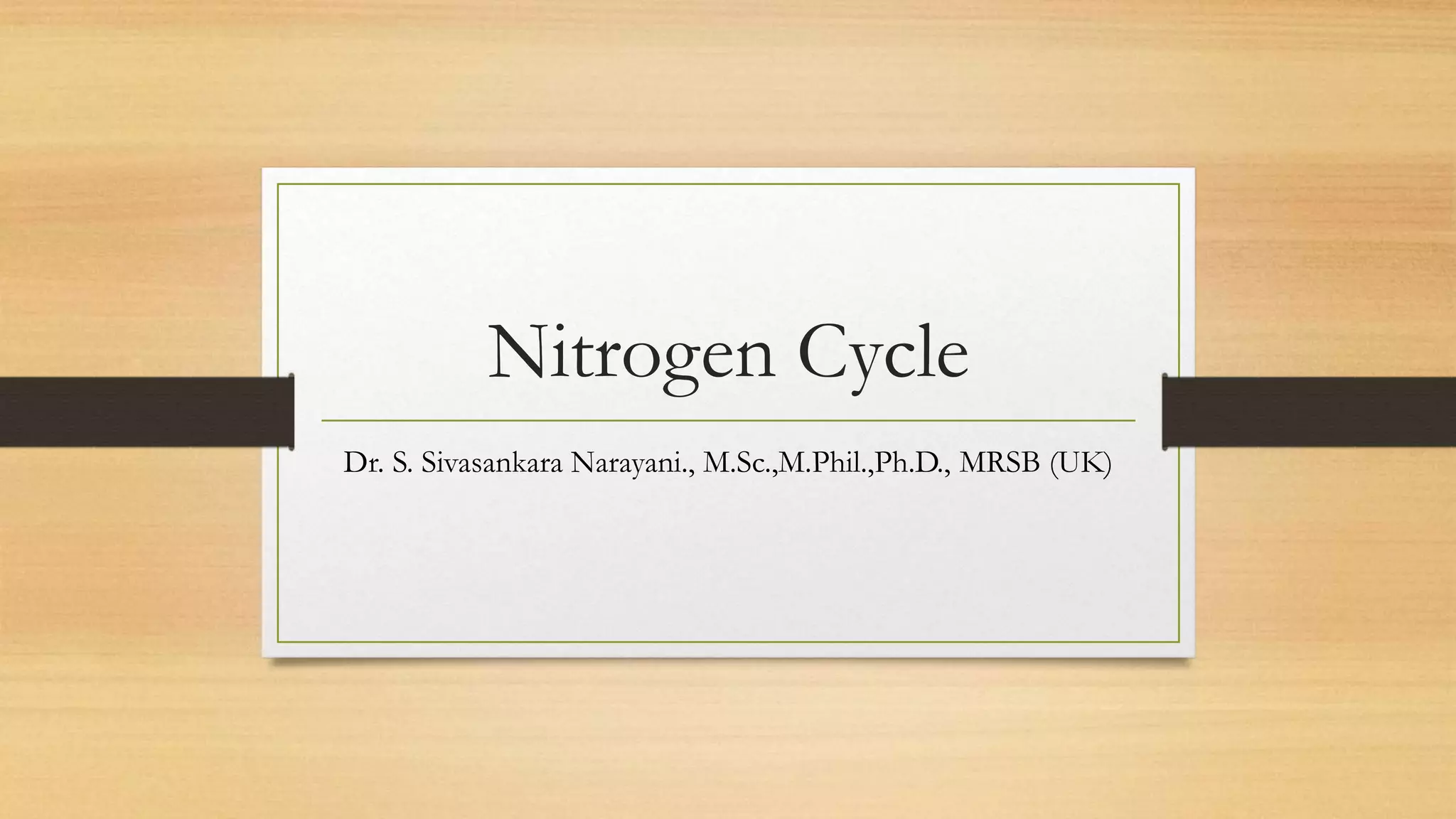 Nitrogen cycle.ppt