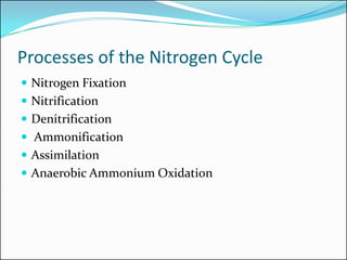Nitrogen cycle .pdf