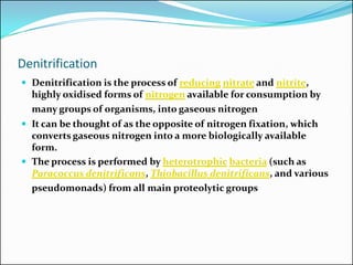 Nitrogen cycle .pdf