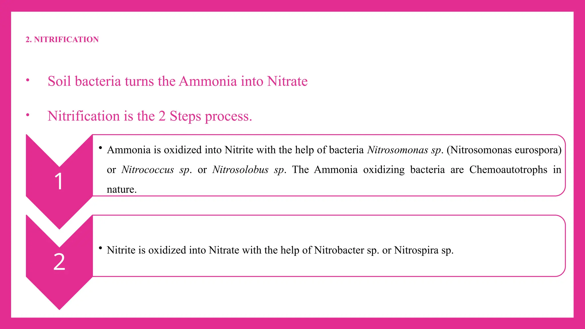 Biogeo chemical cycle...(Nitrogen cycle) | PPTX | Chemistry | Science