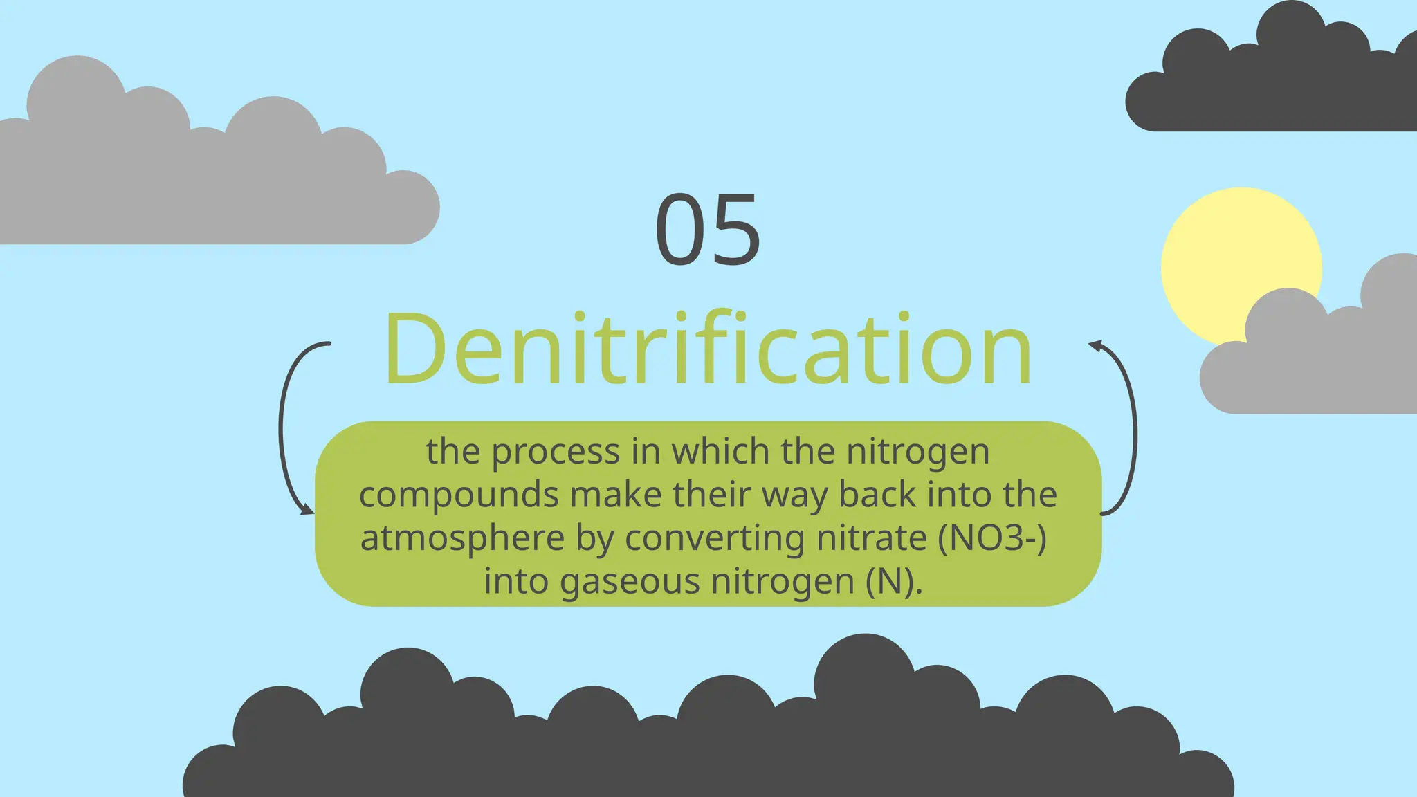 Nitrogen Cycle, definition, stages and importance | PPTX