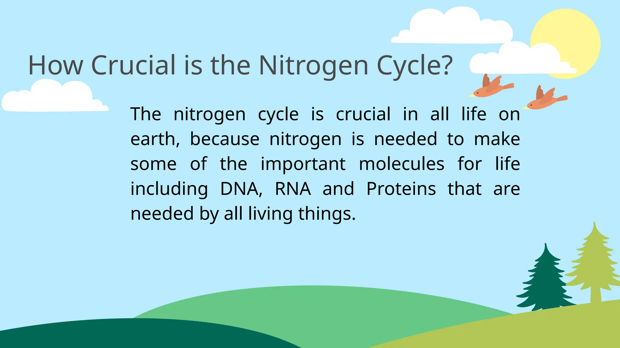 Nitrogen Cycle, definition, stages and importance | PPTX