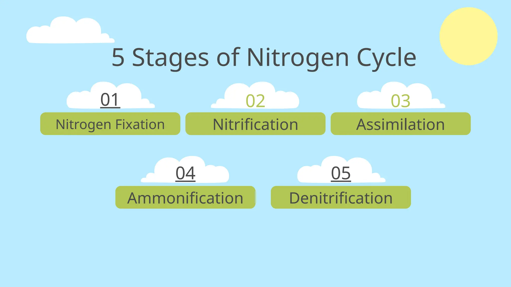 Nitrogen Cycle, definition, stages and importance | PPTX | Chemistry ...