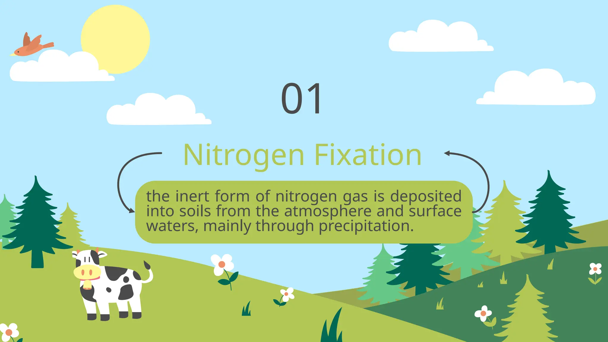 Nitrogen Cycle, definition, stages and importance | PPTX | Chemistry | Science
