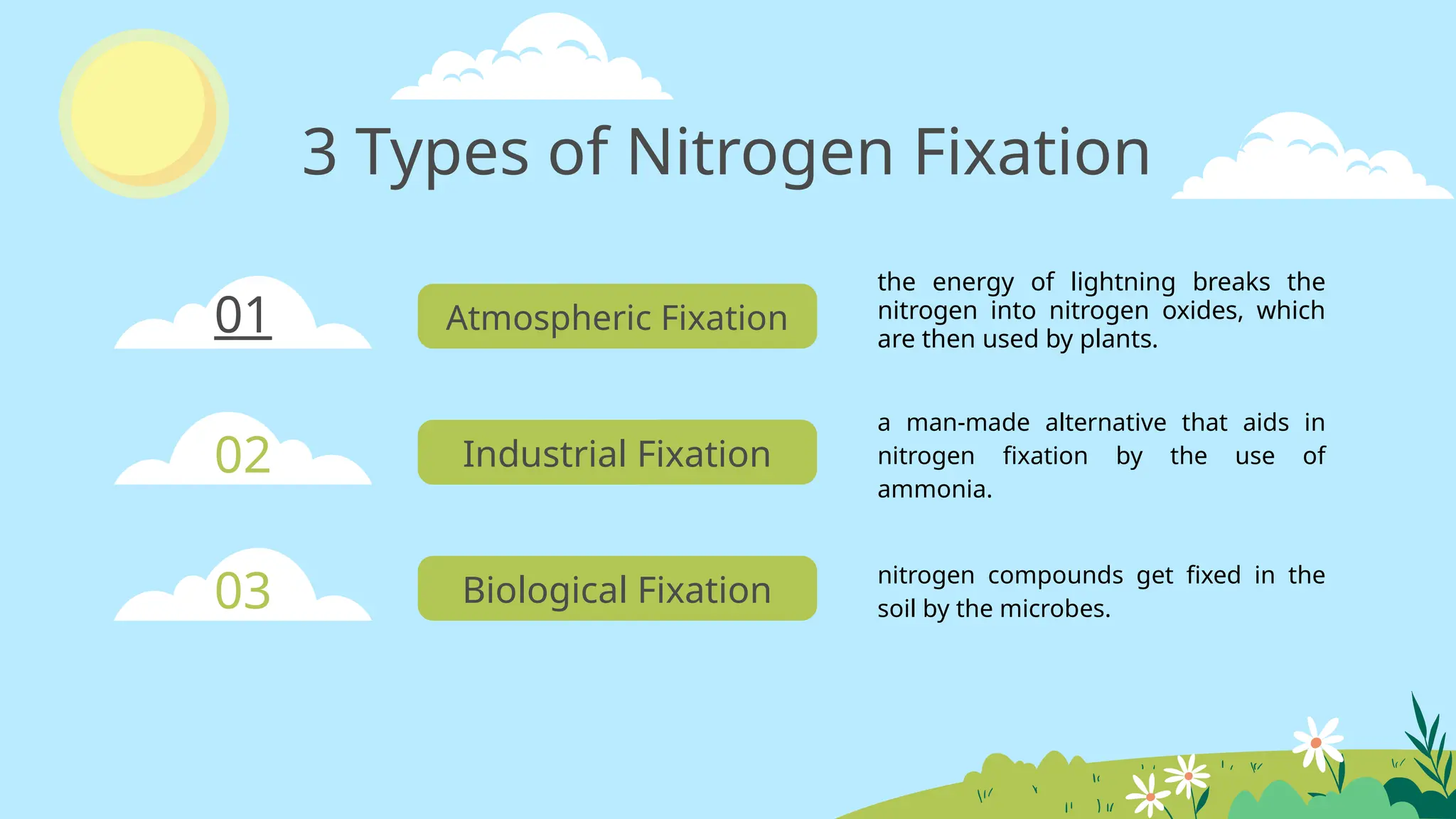 Nitrogen Cycle, definition, stages and importance | PPTX