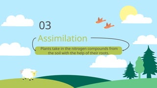 Nitrogen Cycle, definition, stages and importance | PPTX | Chemistry ...
