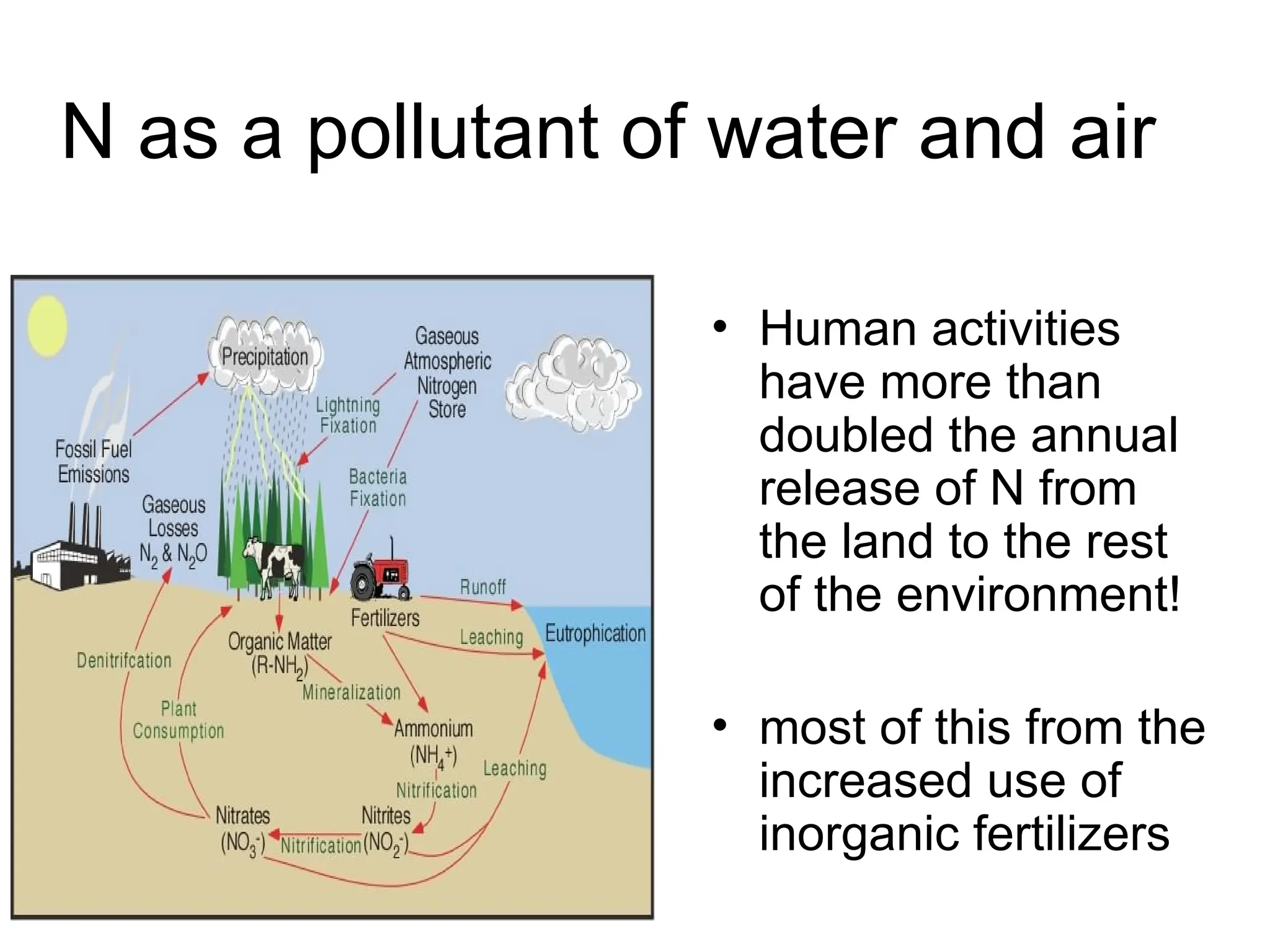 The Nitrogen Cycle PowerPoint Presentation | PPT