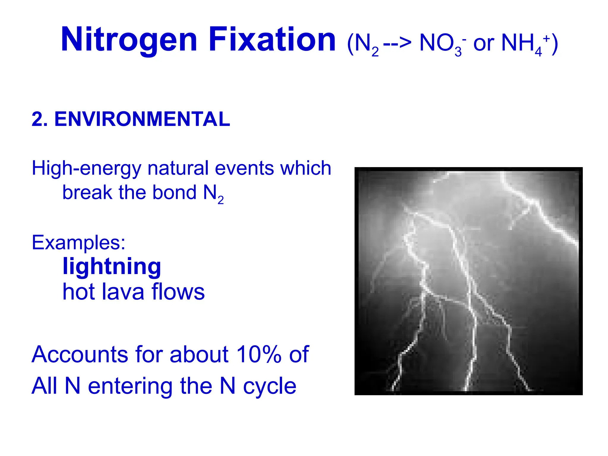The Nitrogen Cycle PowerPoint Presentation | PPT