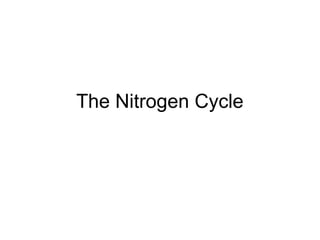 The Nitrogen Cycle PowerPoint Presentation | PPT