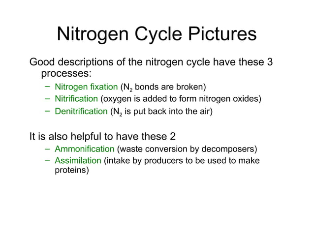 The Nitrogen Cycle PowerPoint Presentation | PPT