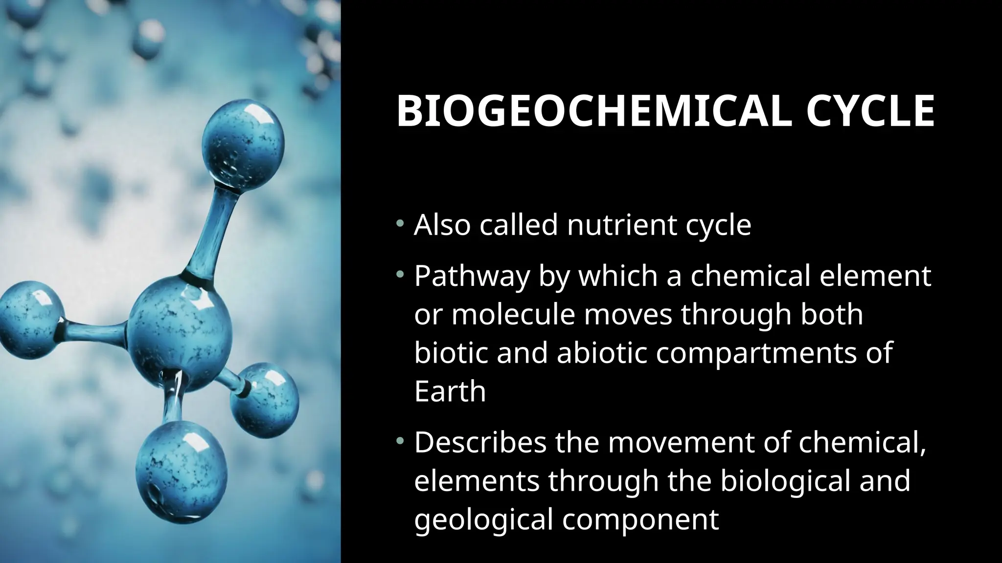 Nitrogen Cycle-Type of biogeochemical cycle | PPTX