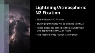 Nitrogen Cycle-Type of biogeochemical cycle | PPTX