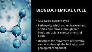 Nitrogen Cycle-Type of biogeochemical cycle | PPTX