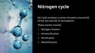 Nitrogen Cycle-Type of biogeochemical cycle | PPTX