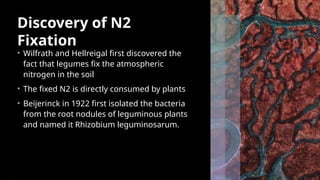 Nitrogen Cycle-Type of biogeochemical cycle | PPTX