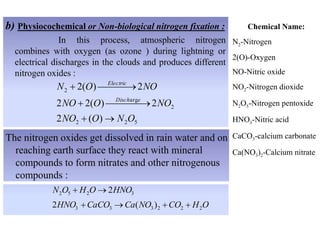 Nitrogen Cycle-Forms, chemical reactions, & Steps.pptx