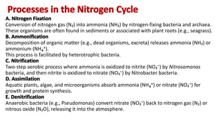 Aquatic Nitrogen cycle -J. Bovas Joel.pdf