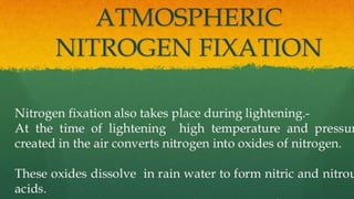 Nitrogen Cycle PowerPoint for Science Visual | PPTX
