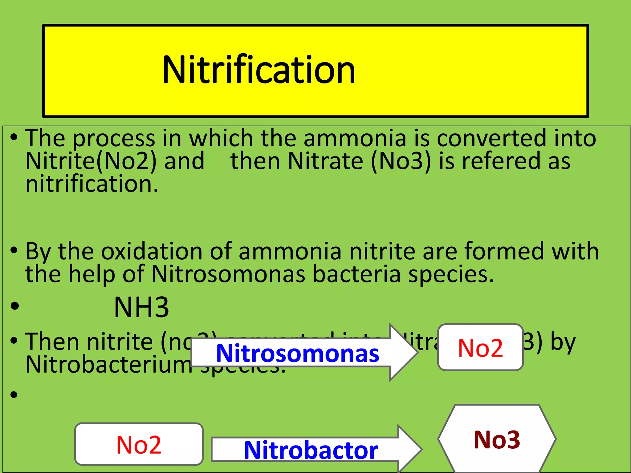 Nitrogen Cycle(N2).ppt