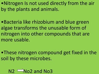 Nitrogen Cycle(N2).ppt | Environment | Science