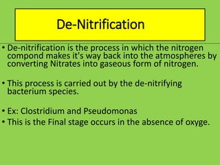 Nitrogen Cycle(N2).ppt | Environment | Science
