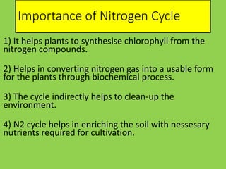 Nitrogen Cycle(N2).ppt | Environment | Science