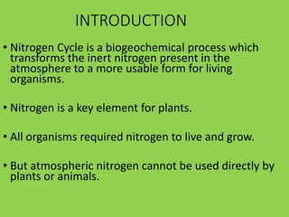 Nitrogen Cycle(N2).ppt | Environment | Science