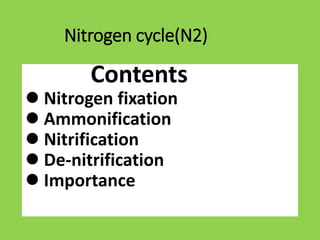 Nitrogen Cycle(N2).ppt | Environment | Science