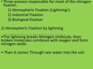 Nitrogen Cycle(N2).ppt | Environment | Science