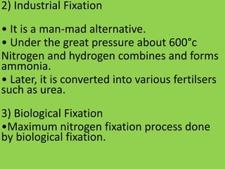 Nitrogen Cycle(N2).ppt | Environment | Science