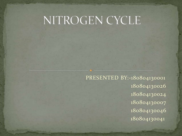 Nitrogen cycle (1) 1 | PPT