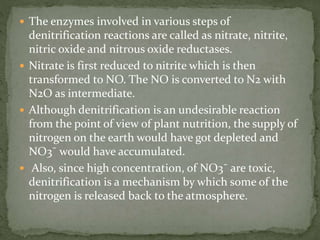 Nitrogen cycle (1) 1 | PPT