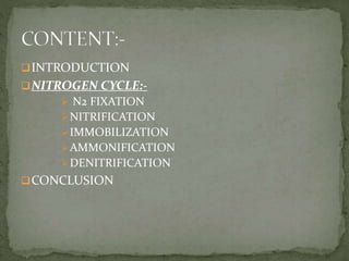 Nitrogen cycle (1) 1 | PPT