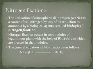 Nitrogen cycle (1) 1 | PPT