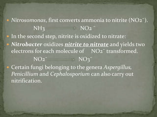 Nitrogen cycle (1) 1 | PPT