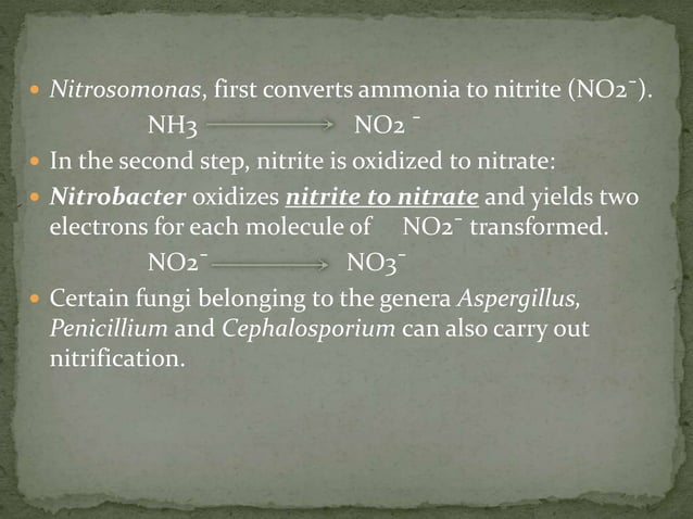 Nitrogen cycle (1) 1 | PPT
