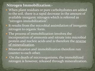 Nitrogen cycle (1) 1 | PPT