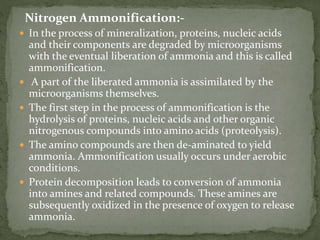 Nitrogen cycle (1) 1 | PPT