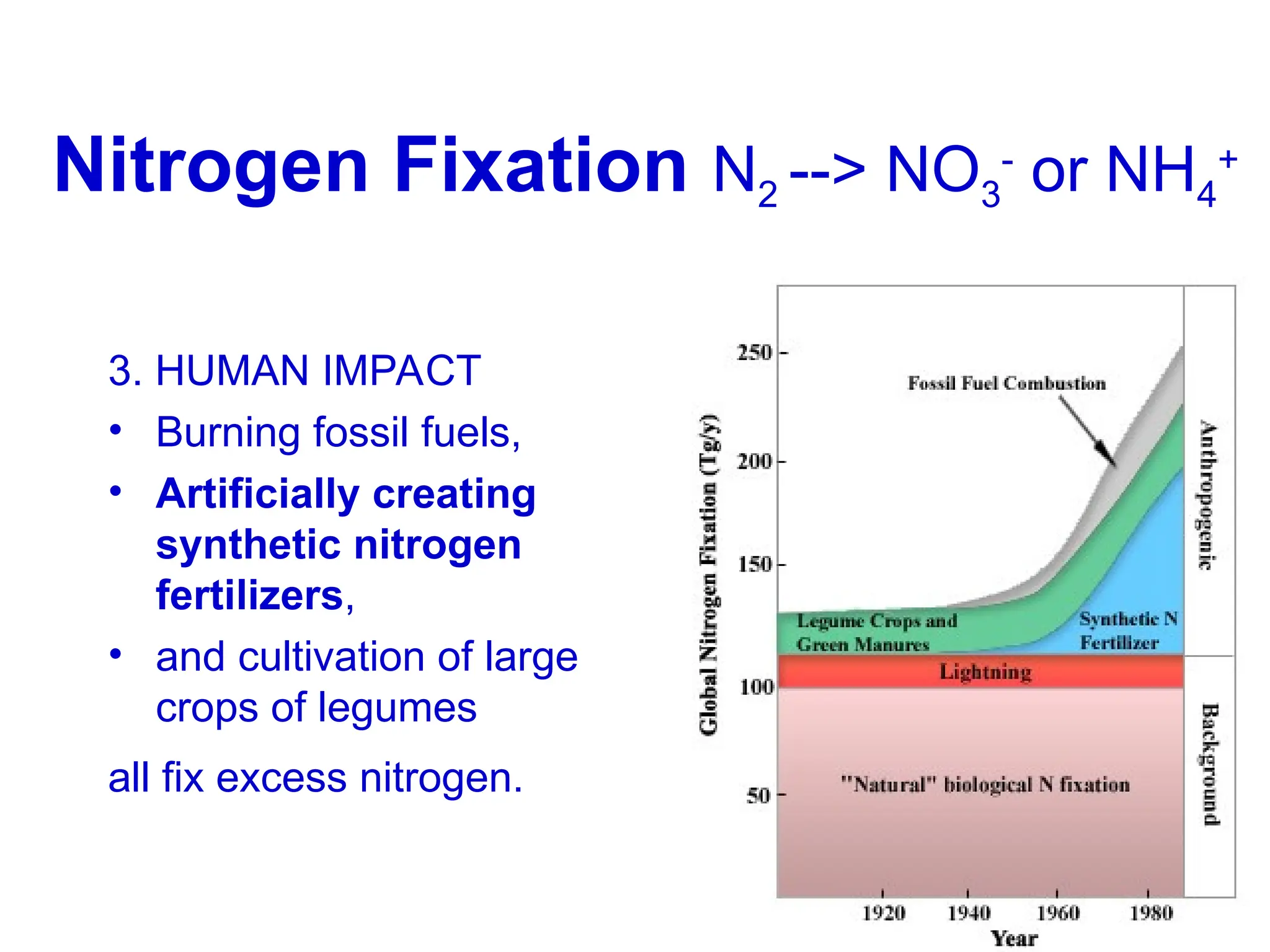 nitrogencycrererle edfeeeweeeeeee_1_.ppt