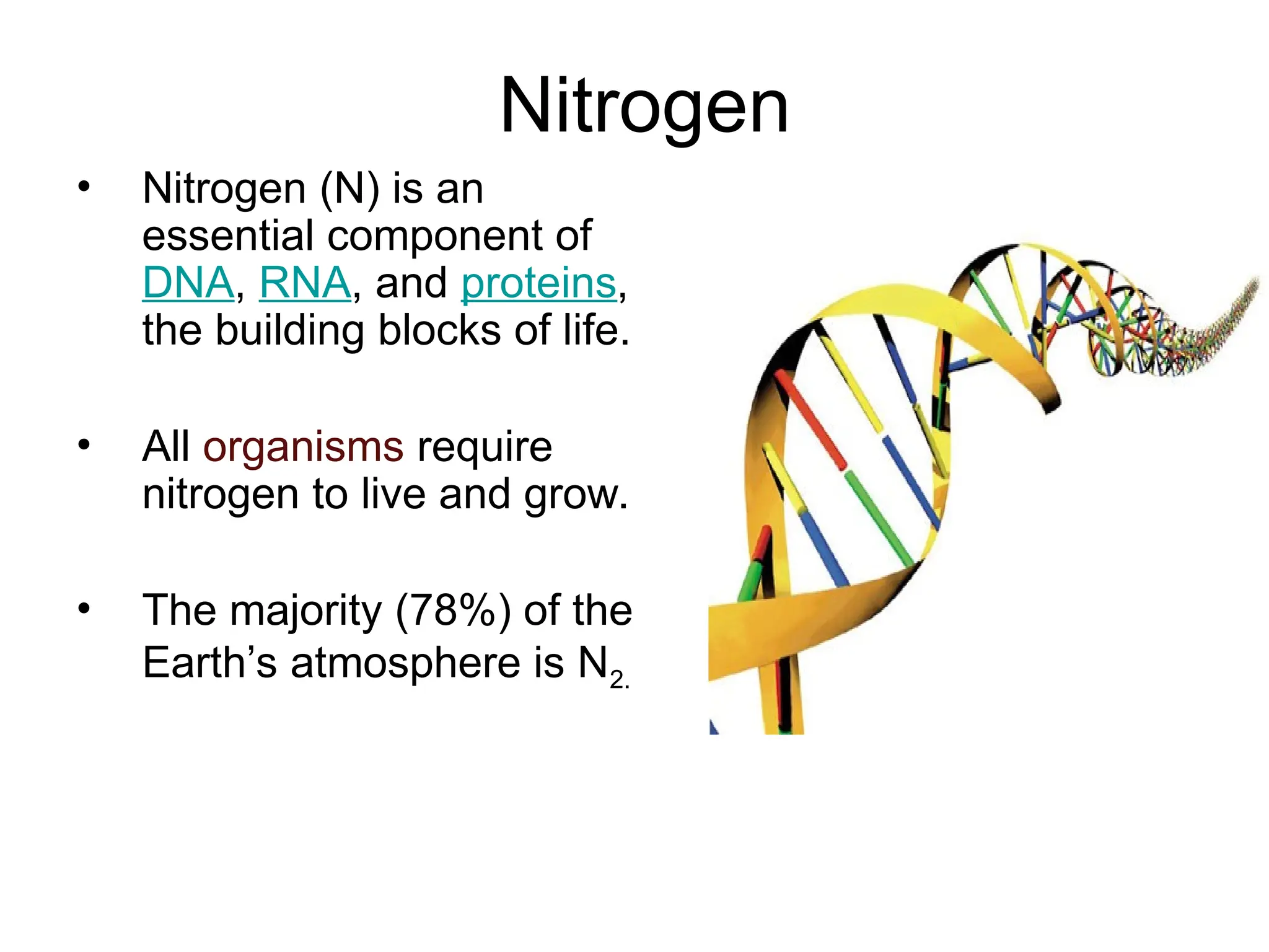 BIOLOGCALFIXATIO nitrogen- cycle _1_.ppt