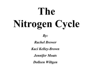 NITROGEN CYCLE powerpoint presentation for UG | PPT