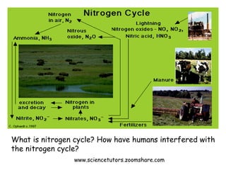 NITROGEN CYCLE AND FIXATION | PPT