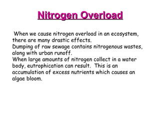 NITROGEN CYCLE AND FIXATION | PPT