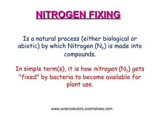NITROGEN CYCLE AND FIXATION | PPT