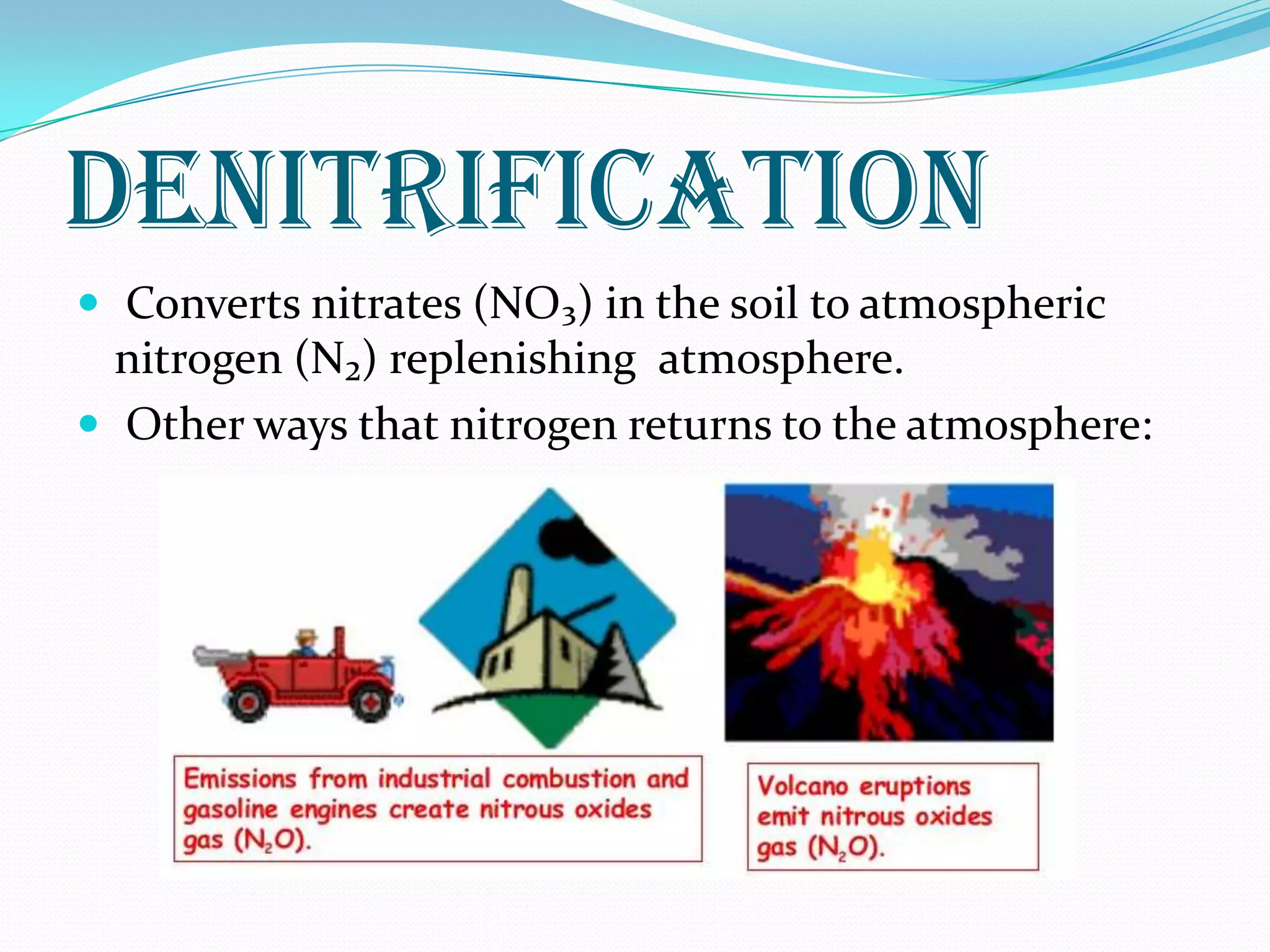 Nitrogen Cycle & How Do Human Activities Affect the Ecosystem by Divine ...