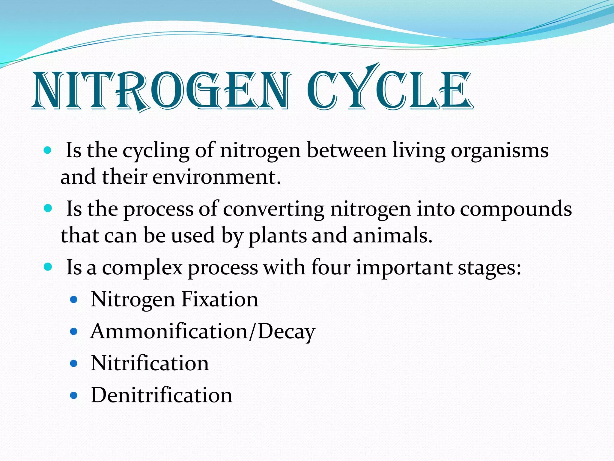 Nitrogen Cycle & How Do Human Activities Affect the Ecosystem by Divine ...