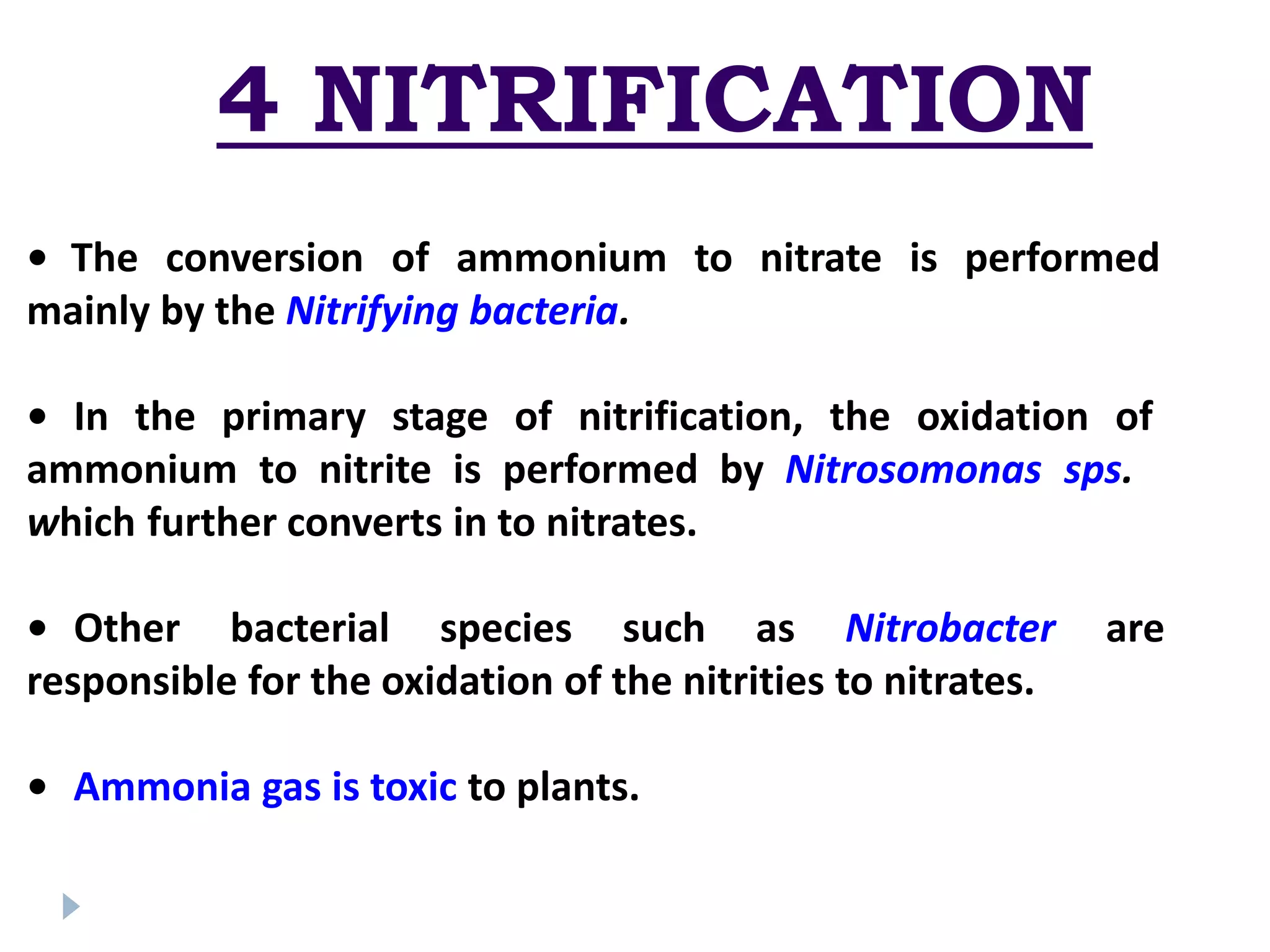 Nitrogen cycle by Himanshu Asati | PDF